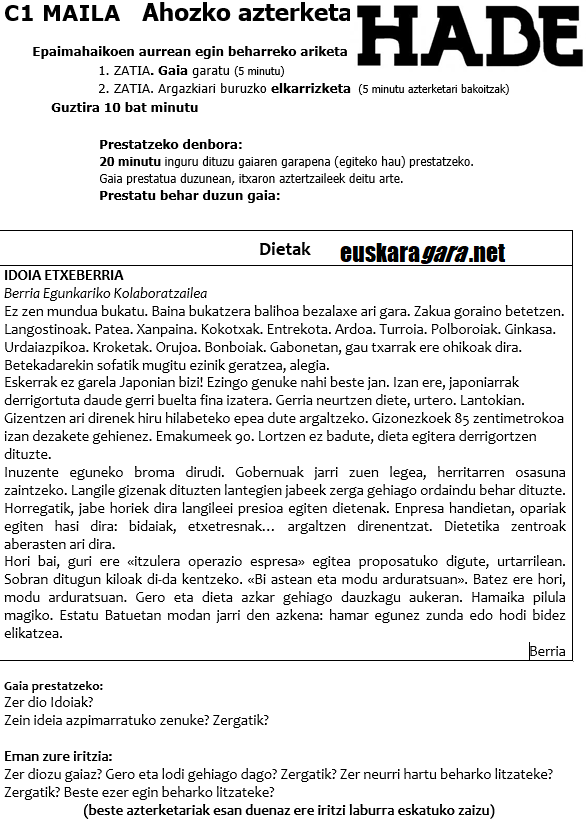 IDAZLANA - euskaragara.net - egin eta eragin!